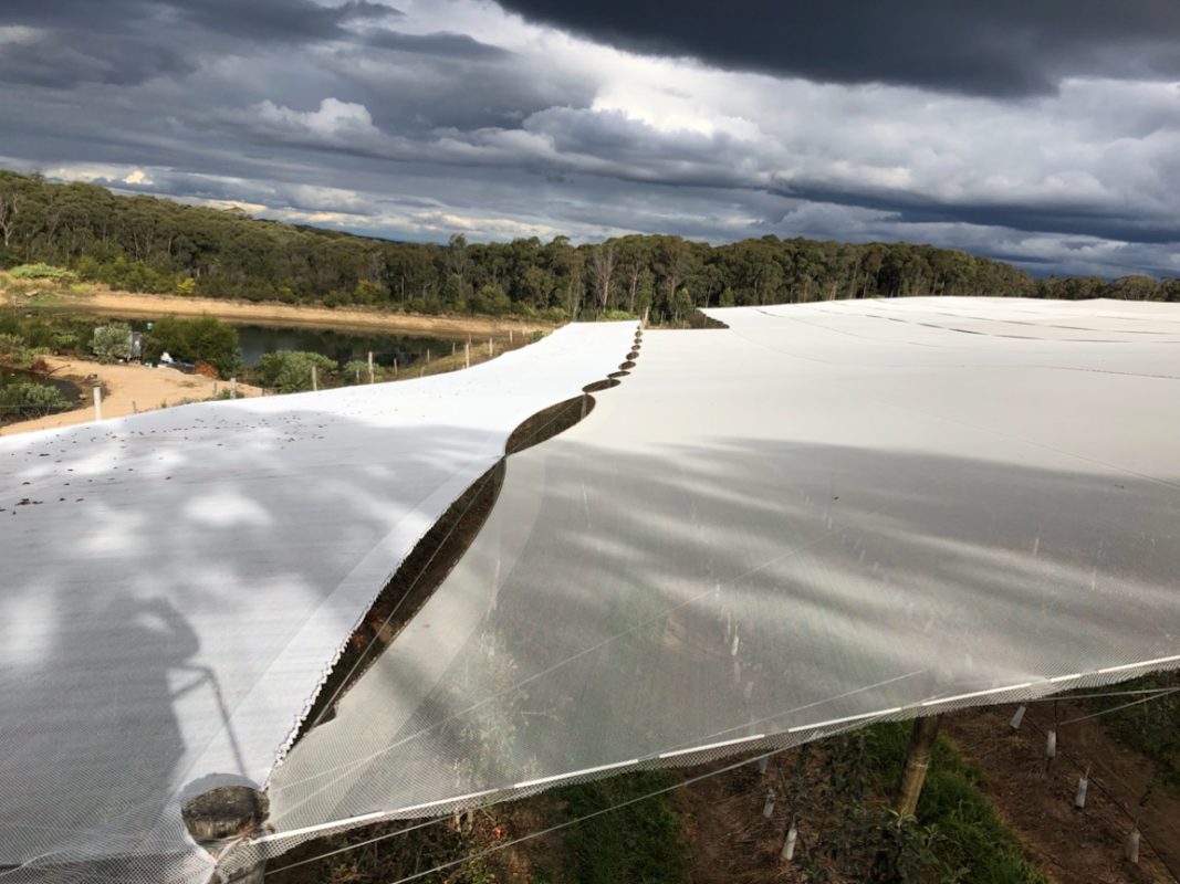 Absolute Trade Supplies | Shadecloth and Landscape Fabrics