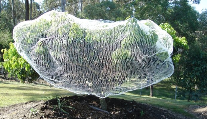 Birdnet Installation Instructions | Absolute Trade Supplies